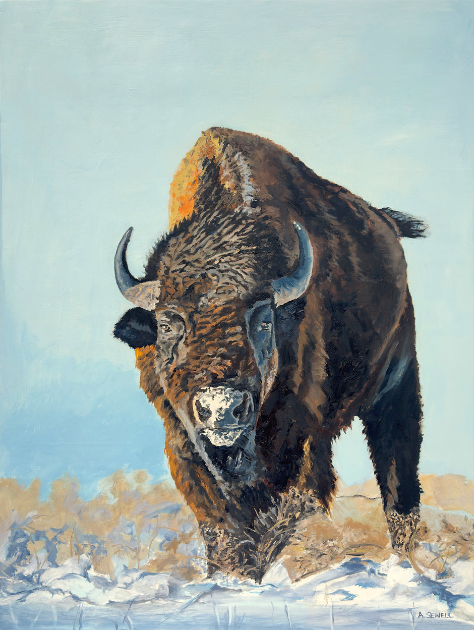 All Available Originals – Andy Sewell Fine Art